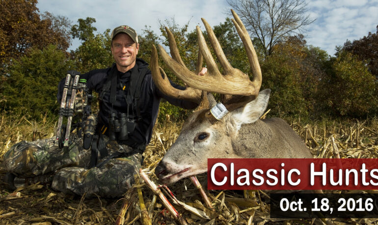 Videos Archive - Bill Winke